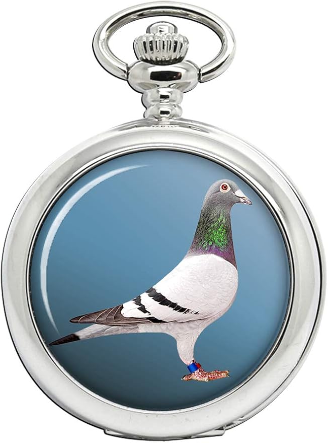 Racing Pigeon Full Hunter Pocket Watch: Amazon.co.uk: Watches