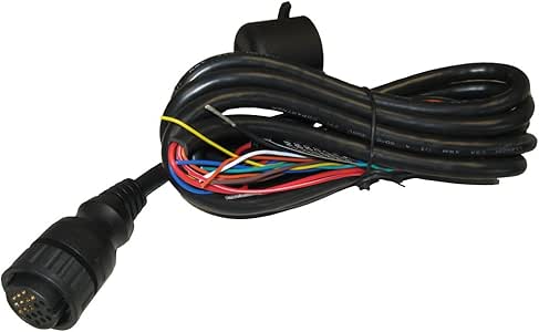 Amazon.com: Garmin Power/Data Cable (Bare Wires): GPS & Navigation