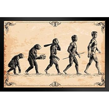 Amazon.com: Human Evolution Poster 24 x 36: Prints: Posters & Prints