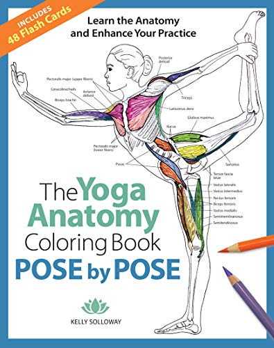 Pose by Pose: Learn the Anatomy and Enhance Your Practice (Volume 2 ...