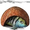 SunGrow Cichlids Fish Cave, Habitat Made from Coconut Shell, Soft ...