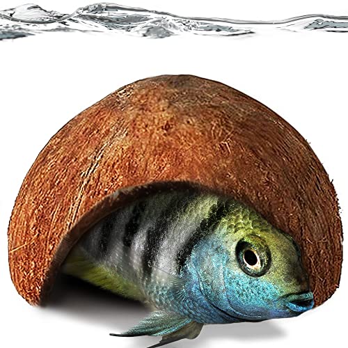 SunGrow Cichlids Fish Cave, Habitat Made from Coconut Shell, Soft ...