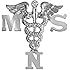 Amazon.com: NursingPin - Masters of Science in Nursing MSN Graduation ...