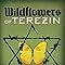 Wildflowers of Terezin: Robert Elmer: 9781426701924: Amazon.com: Books
