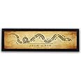 Amazon.com: History America Join Or Die Framed Art Print | Benjamin ...