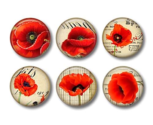 Amazon.com: Poppy Magnets - Fridge Magnets - Flower Magnets - Red Poppy ...