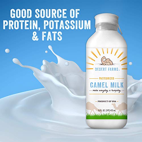 Organic Fresh Frozen Camel Milk - Fresh Flavor With Health Benefits ...
