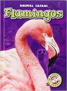Flamingos (Blastoff Readers. Level 1) (Blastoff! Readers: Animal Safari ...