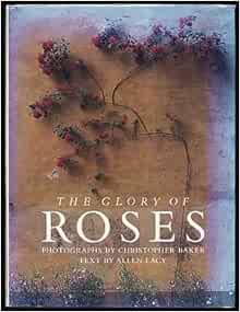 The Glory of Roses: Lacy, Allen, Baker, Christopher: 9781556701559 ...