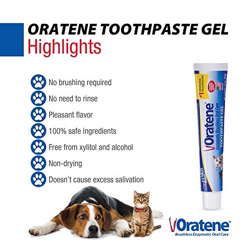 Oratene Enzymatic Brushless Oral Care Dog & Cat Dental Gel at Patricia ...