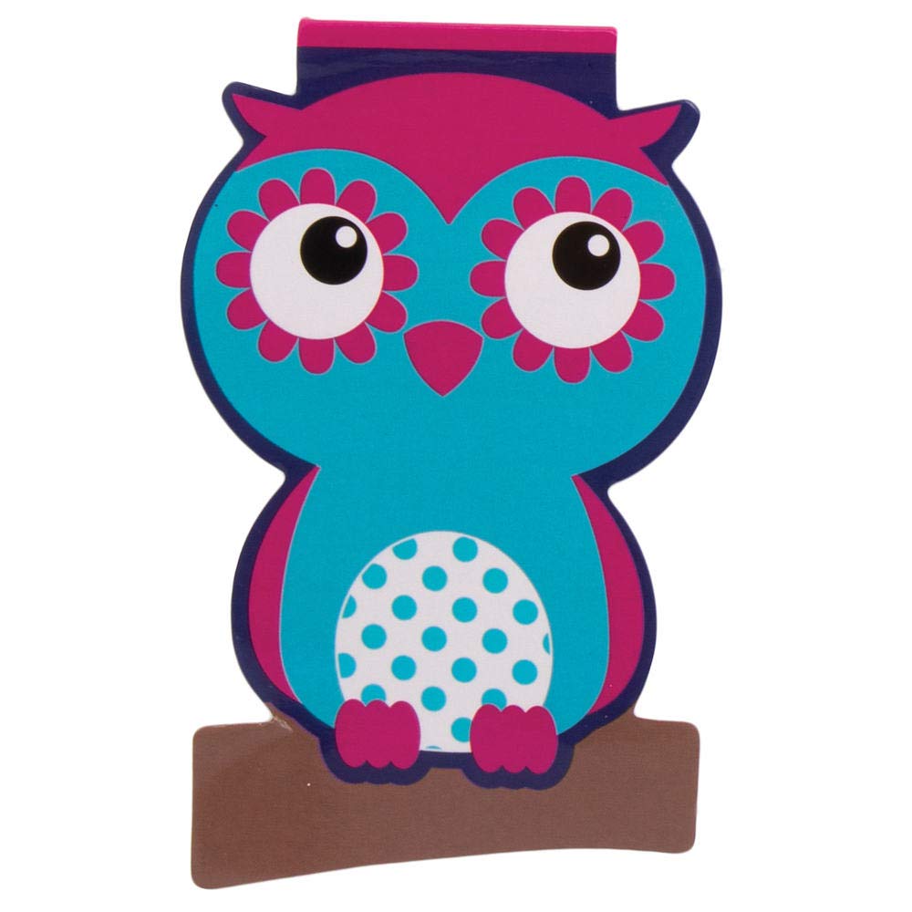 Baker Ross AX598 3 Little Owls Notepads – Pack of 12, Drawing Pads for ...