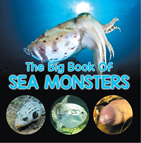 The Big Book Of Sea Monsters (Scary Looking Sea Animals): Animal ...