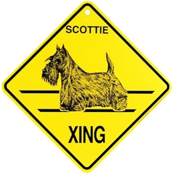 Amazon.com: Alligator Xing caution Crossing Sign reptile Gift: Pet Supplies