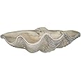 Amazon.com: House Parts Large Clam Shell : Patio, Lawn & Garden
