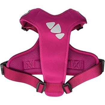 Amazon.com : Hurtta Active Dog Harness, Cherry, 24-32 in : Pet Supplies