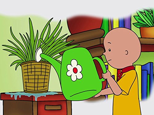 Watch Caillou - Season 5 | Prime Video