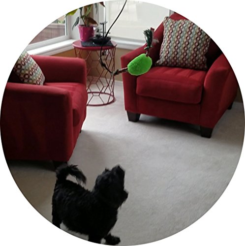 TUMBO Tugger Indoor Exercise Dog Toy - (Indoor Ceiling Hanging Bungee ...