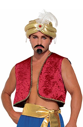 Disney's Aladdin Halloween Costumes for Kids & Adults