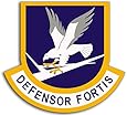 Amazon.com: American Vinyl Air Force Security Forces Defensor Fortis ...