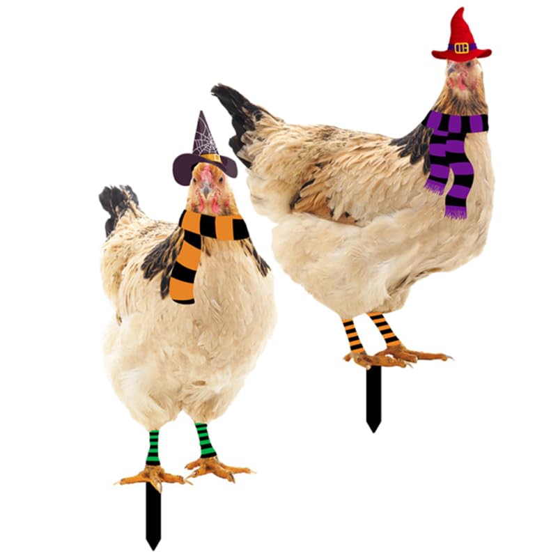 SEWOART 2PCS Halloween Chicken Stake Decor Ground Inserted Chicken ...