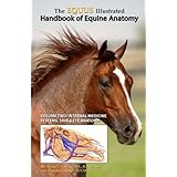 The Equus Illustrated Handbook of Equine Anatomy, Volume 1, The ...