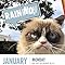 Amazon - Grumpy Cat Year-In-A-Box Calendar (2017): Year-In-A-Box ...