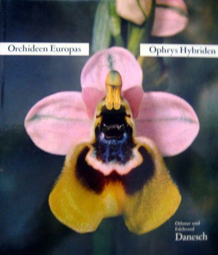 Orchideen Europas Ophrys Hybriden (German Version): Danesch Othmar und ...