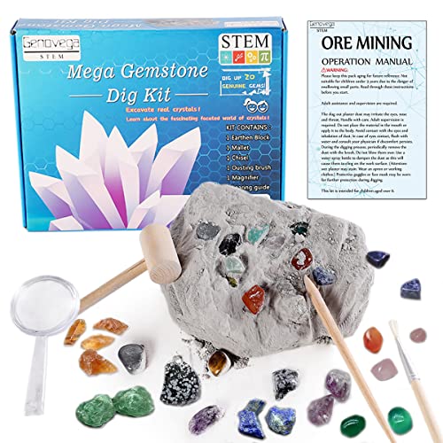Gemstone Crystal Rock Dig Kit - Science Experiments Toy, Great ...