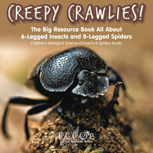 Creepy Crawlies! The Big Resource Book : All about 6-legged Insects and ...