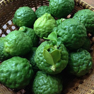 Fresh Kaffir Lime Fruit with Fresh Kaffir Lime Leaves: Amazon.com ...
