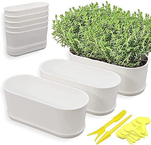 Torfican 10 Set Window Herb Planter Box Rectangular,8.5x3.5 Inch White ...