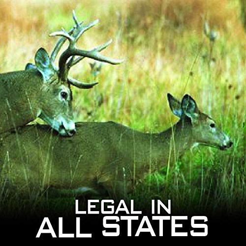 Outdoor Hunting Lab Doe in Estrus Heat Synthetic Urine - Deer ...