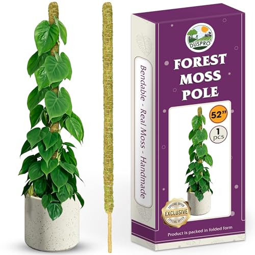 Duspro 52'' Forest Moss Pole for Plants, Forest Tall Moss Poles for ...