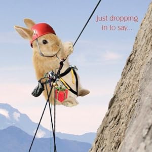 Abseiling Quotes