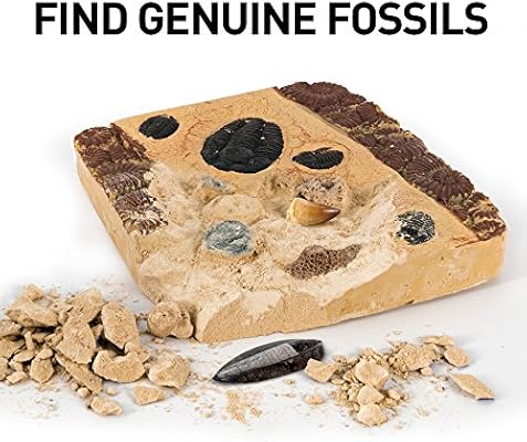 Science & Nature NATIONAL GEOGRAPHIC Mega Fossil Dig Kit Excavate 15 ...