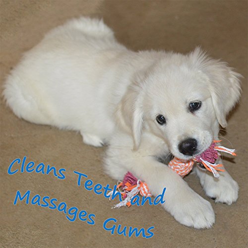 Puppy Chew Teething Rope Toys Set Mini Dental Pack For Small to Medium ...