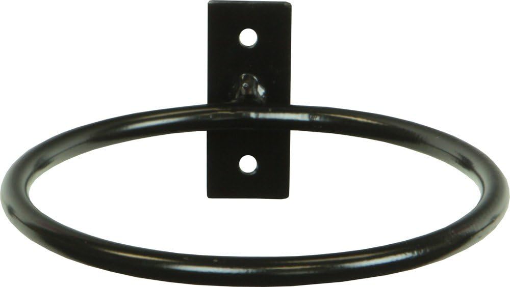 Amazon.com: Pennington Décor Wall Mounted Pot Ring Planter, 5.5"/Medium ...