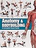 Anatomy & Bodybuilding: A Complete Visual Guide in Bahrain | Whizz ...