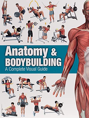 Anatomy & Bodybuilding: A Complete Visual Guide | Amazon.com.br