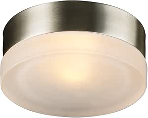 PLC Lighting 6571 SN 1-Light Wall/Ceiling Fixture Metz Collection ...