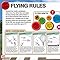 Flight School: How to Fly a Plane--Step by Step: Barnard, Nicholas ...