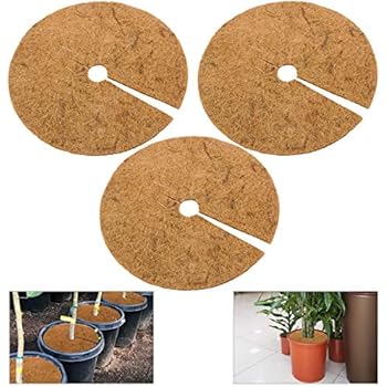Amazon.com : Trademark Innovations Reversible Mulch Ring Tree Protector ...