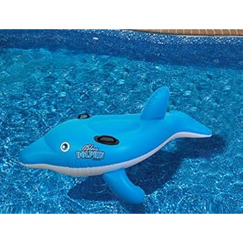 Amazon.com: Swimline Dolphin Stable Pool Float: Toys & Games