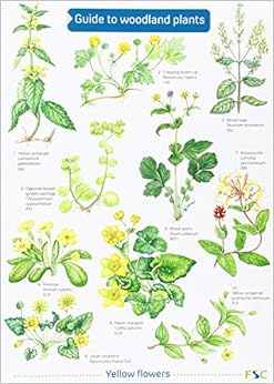 Guide to Woodland Plants (Field Studies Council Occasional Publications ...