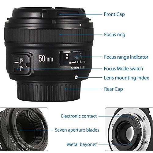 YONGNUO 50mm Standard Prime-Objectif F1.8 pour Appareil Photo numérique ...