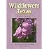 Trees of Texas Field Guide (Tree Identification Guides): Stan Tekiela ...