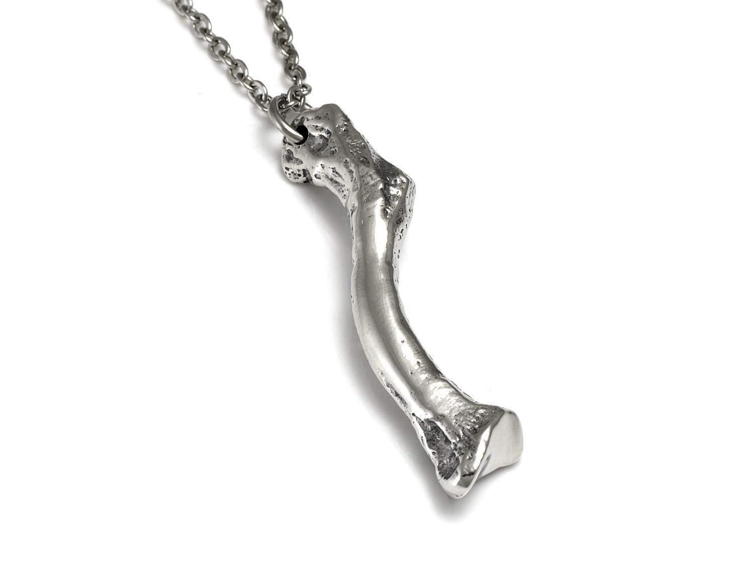Amazon.com: Human Clavicle Bone Pendant Necklace, Collar Bone Charm ...