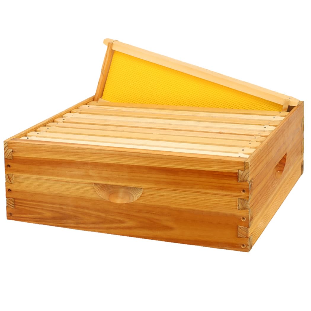 Mua 10 Frame Bee Hive Box, Langstroth Medium Super Bee Box Dipped in ...