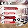 Camshaft Variable Valve Timing Solenoid VCT Replaces 8L3Z-6M280-B ...