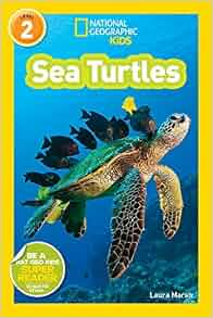 Amazon.com: National Geographic Readers: Sea Turtles (9781426308536 ...
